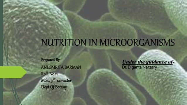 Nutrition in microorganisms | PPTX | Nutrition | Healthy Living