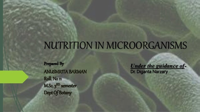 Nutritional Forms Of Microorganisms With Diagram