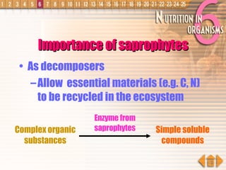 Nutrition In Organisms Ar | PPT