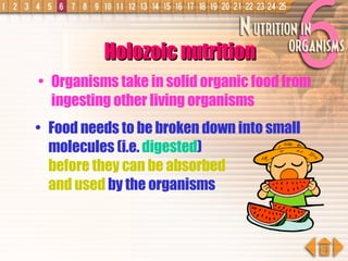 Nutrition In Organisms Ar | PPT | Nutrition | Healthy Living