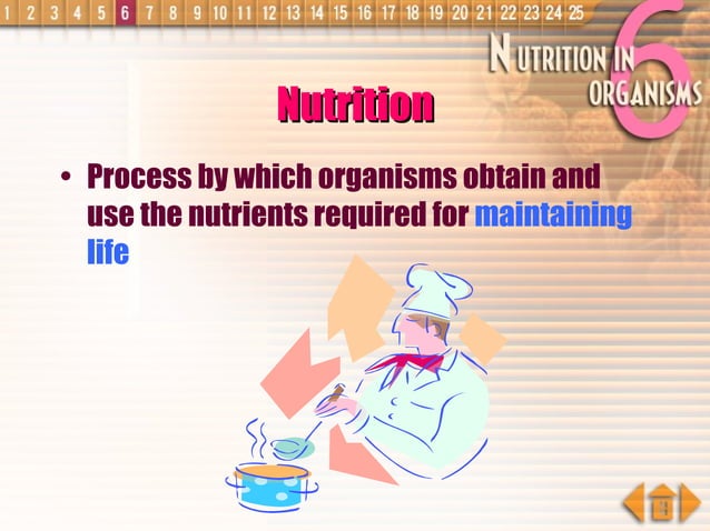 Nutrition in organisms plants | PPT