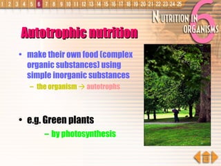 Nutrition in organisms plants | PPT