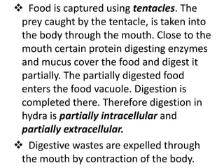 Nutrition in other organisms | PPTX