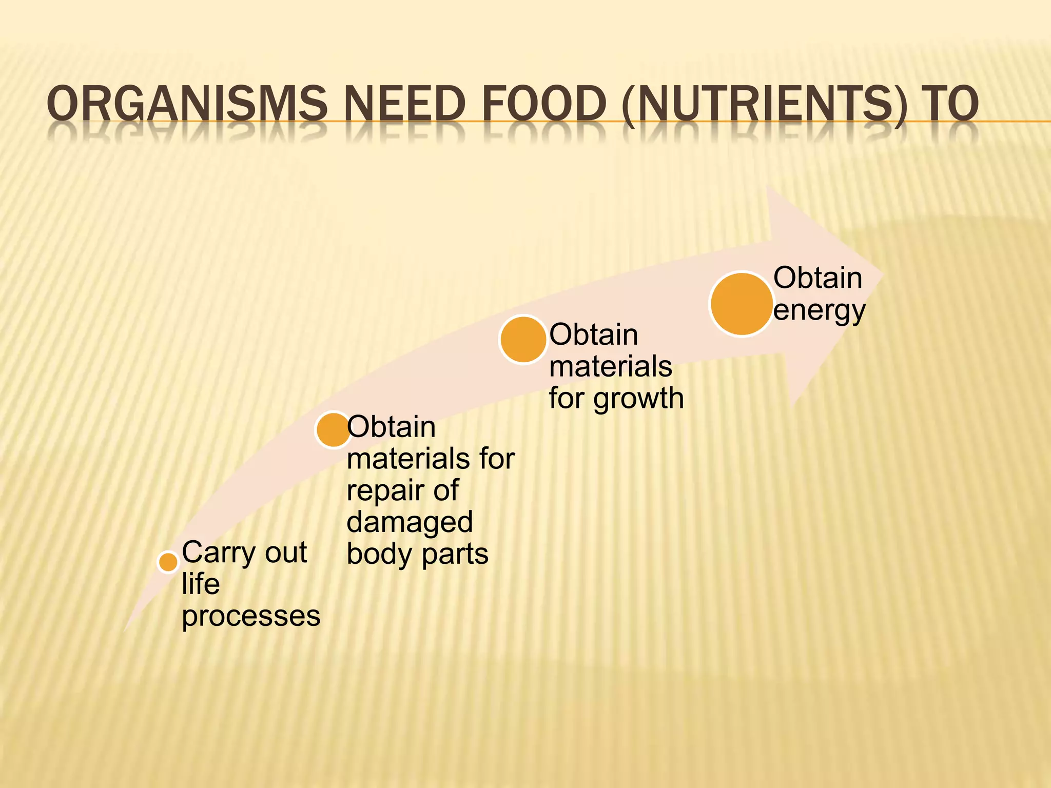 Nutrition in plant | PPTX | Nutrition | Healthy Living