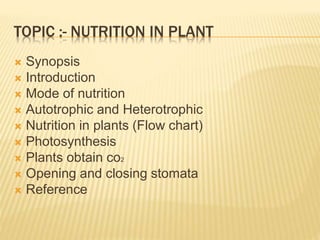 Nutrition in plant | PPTX