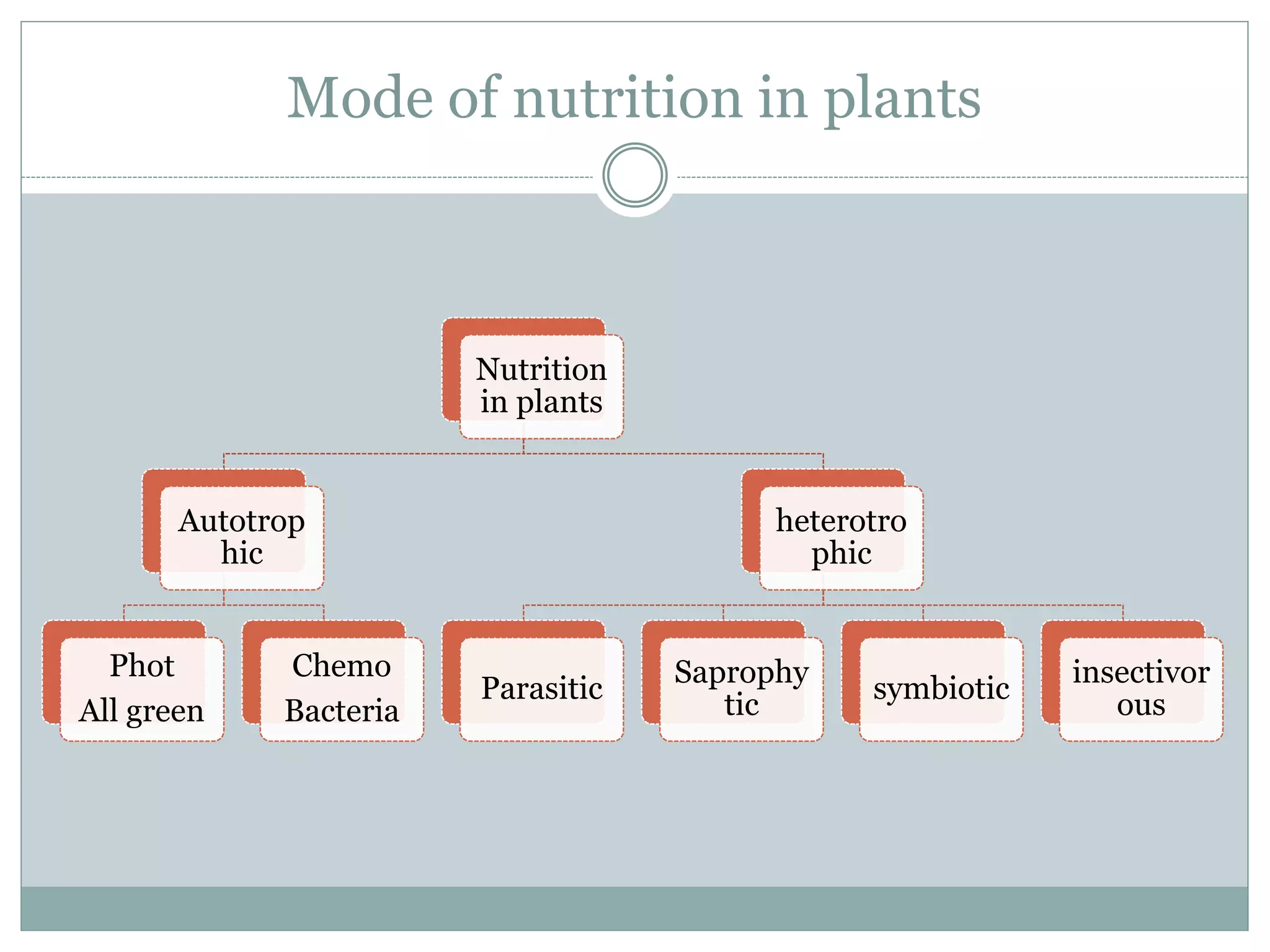 Nutrition in plant 02 | PPTX | Gardening | Home & Garden