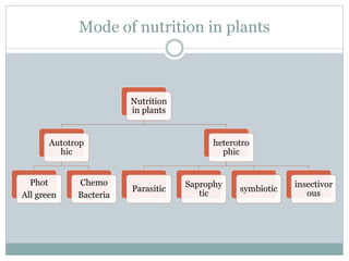 Nutrition in plant 02 | PPT