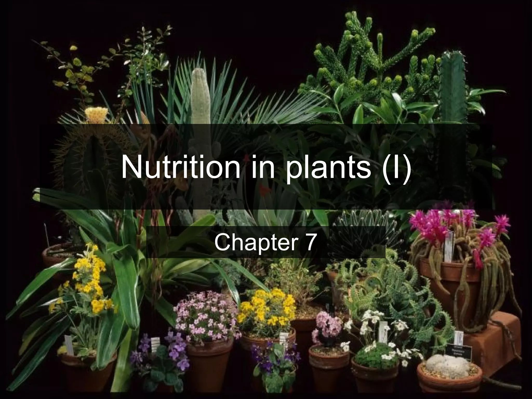 Nutrition in plants | PPT