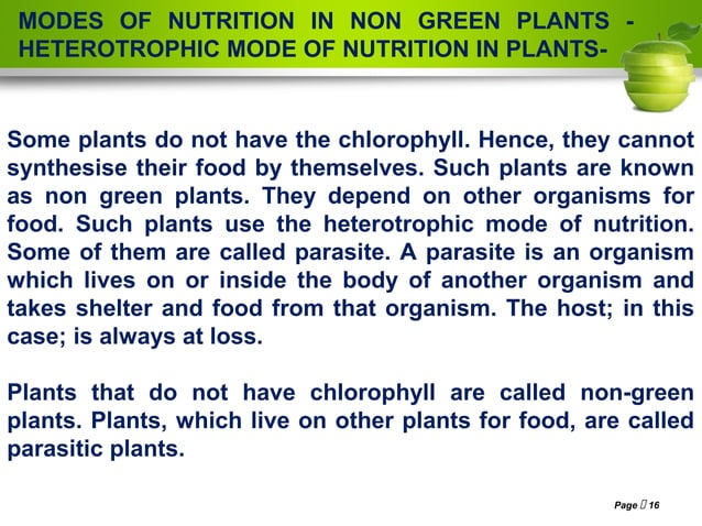 Nutrition in plants, Class- VII, NCERT Based | PPT