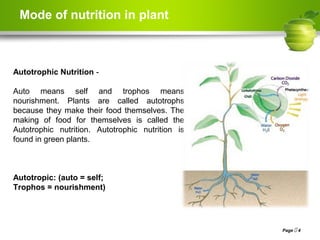 Nutrition in plants, Class- VII, NCERT Based | PPT