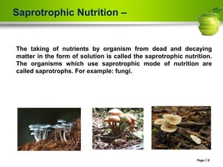 Nutrition in plants, Class- VII, NCERT Based | PPT