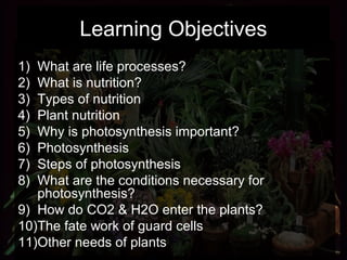 Nutrition in plants | PPT