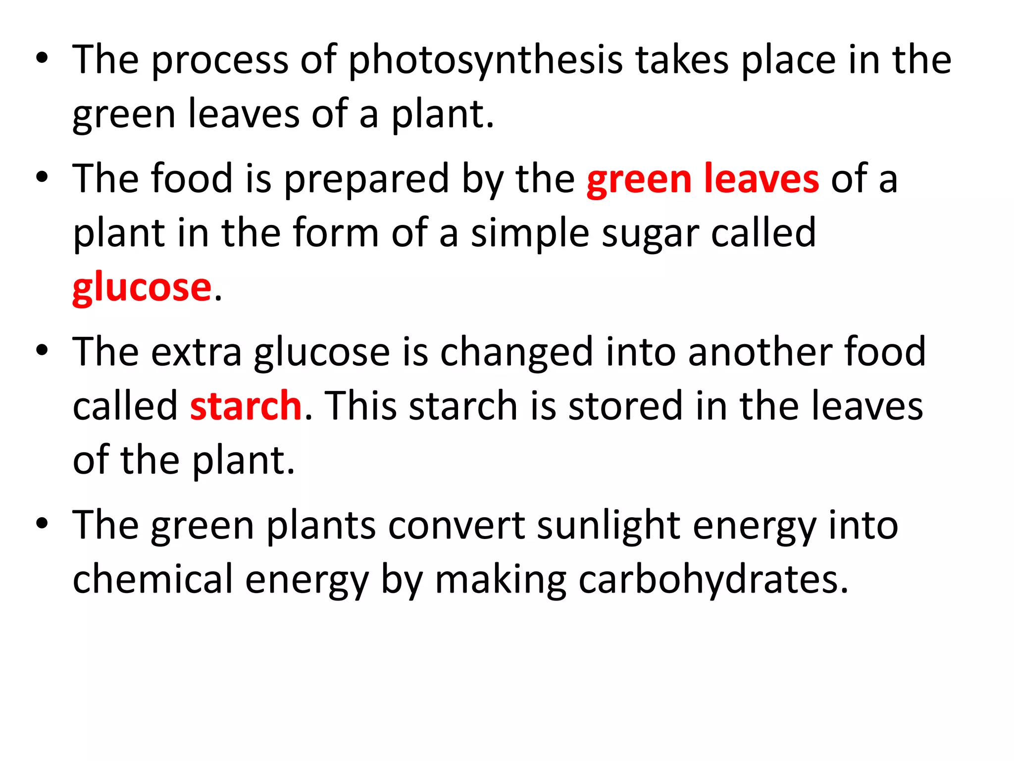 Nutrition in plants | PPTX