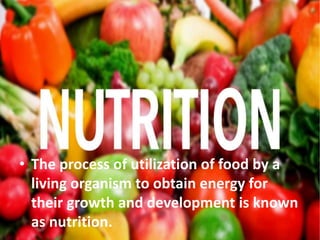 Nutrition in plants | PPTX