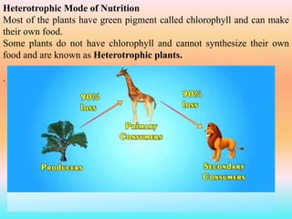 NUTRITION IN PLANTS-2 HETEROTROPHIC NUTRITION CLASS-VII CBSE CHAPTER-1 ...