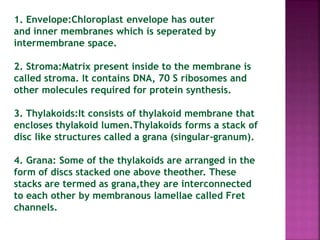 Nutrition in plants- Photosynthesis | PPTX