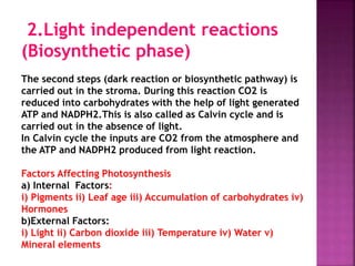 Nutrition in plants- Photosynthesis | PPTX