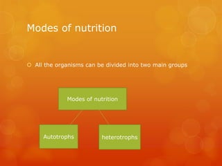 Nutrition in plants | PPT