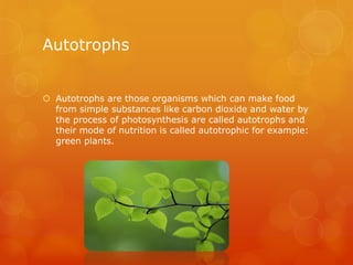 Nutrition in plants | PPT