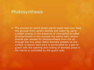 Nutrition in plants | PPT