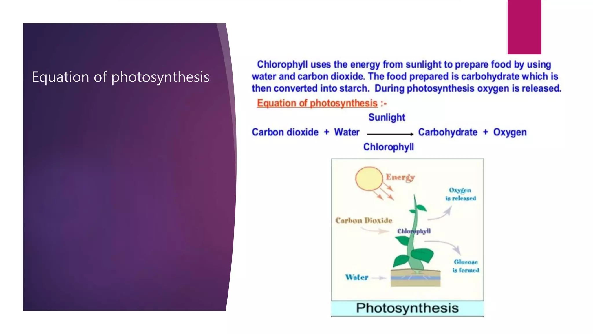 Nutrition in plants GRADE 7 | PPTX