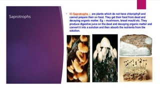 Nutrition in plants GRADE 7 | PPTX