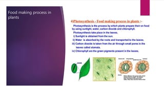 Nutrition in plants GRADE 7 | PPTX