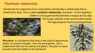 Nutrition in plants | PPTX