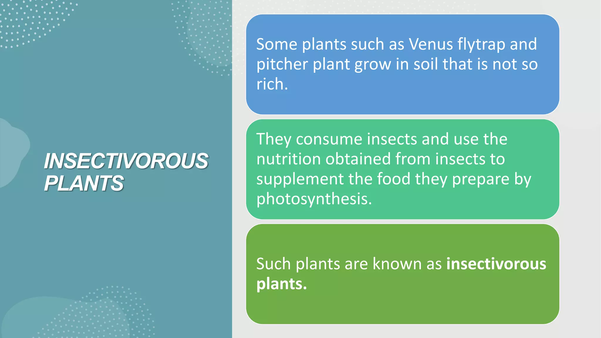 Nutrition in plants | PPTX