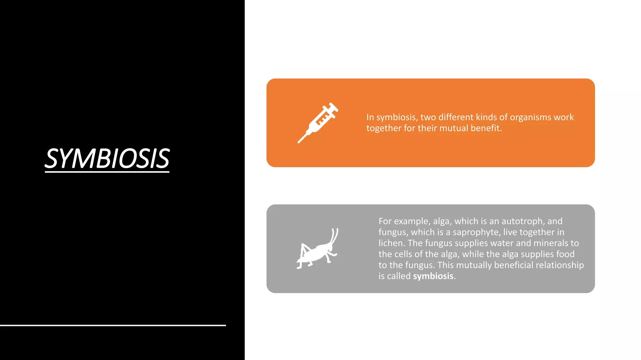 Nutrition in plants | PPTX