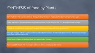 Nutrition in plants | PPTX