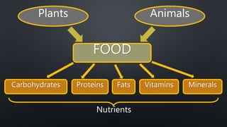 Nutrition in plants | PPTX