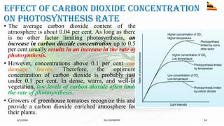 A level Nutrition in plants by @Elly kenny.pdf