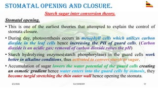 A level Nutrition in plants by @Elly kenny.pdf