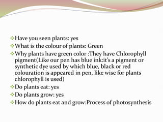 Nutrition in plants-SOCRATIC.feeding,mode,loranthus, autotrophs ...