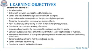 Nutrition in plants (1).pptx