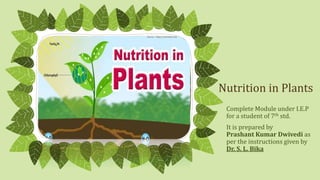 Nutrition in plants for 7th std Science | PPTX