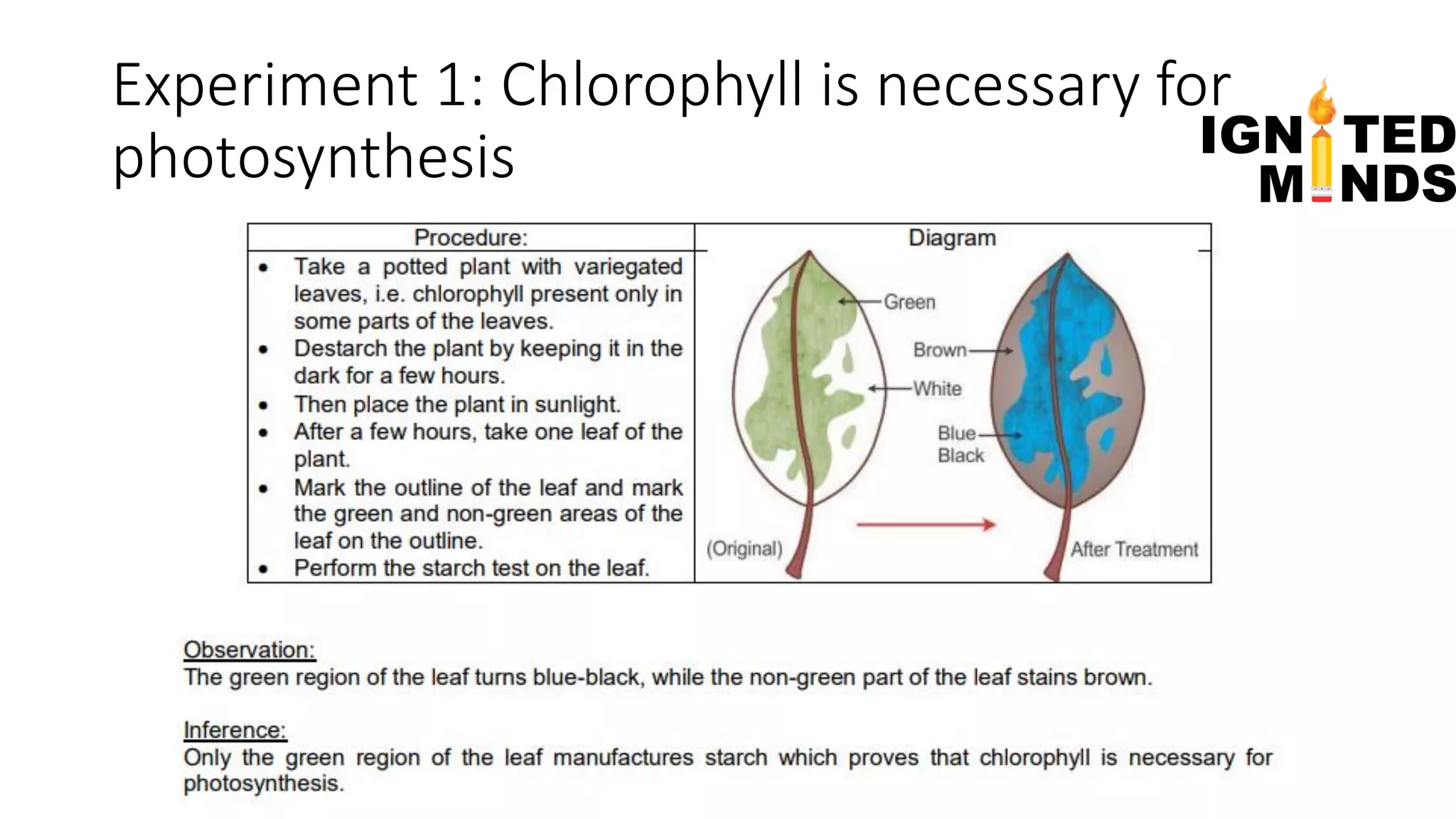 Nutrition in plants cbse class 10 biology Life Processes Pt. 1 | PDF