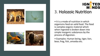 Nutrition in plants cbse class 10 biology Life Processes Pt. 1 | PDF