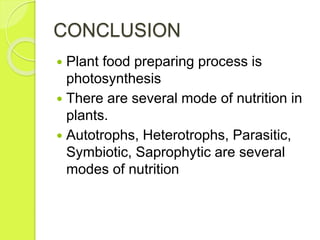 Nutrition in plants DIRECT INSTRUCTIN.pptx