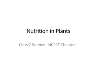 NUTRITION IN PLANTS. SCIENCE FIRST CHAPTER IN NCERT 7 TH GRADE | PPTX