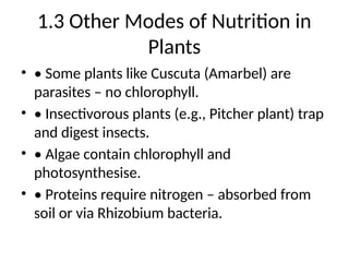 NUTRITION IN PLANTS. SCIENCE FIRST CHAPTER IN NCERT 7 TH GRADE | PPTX