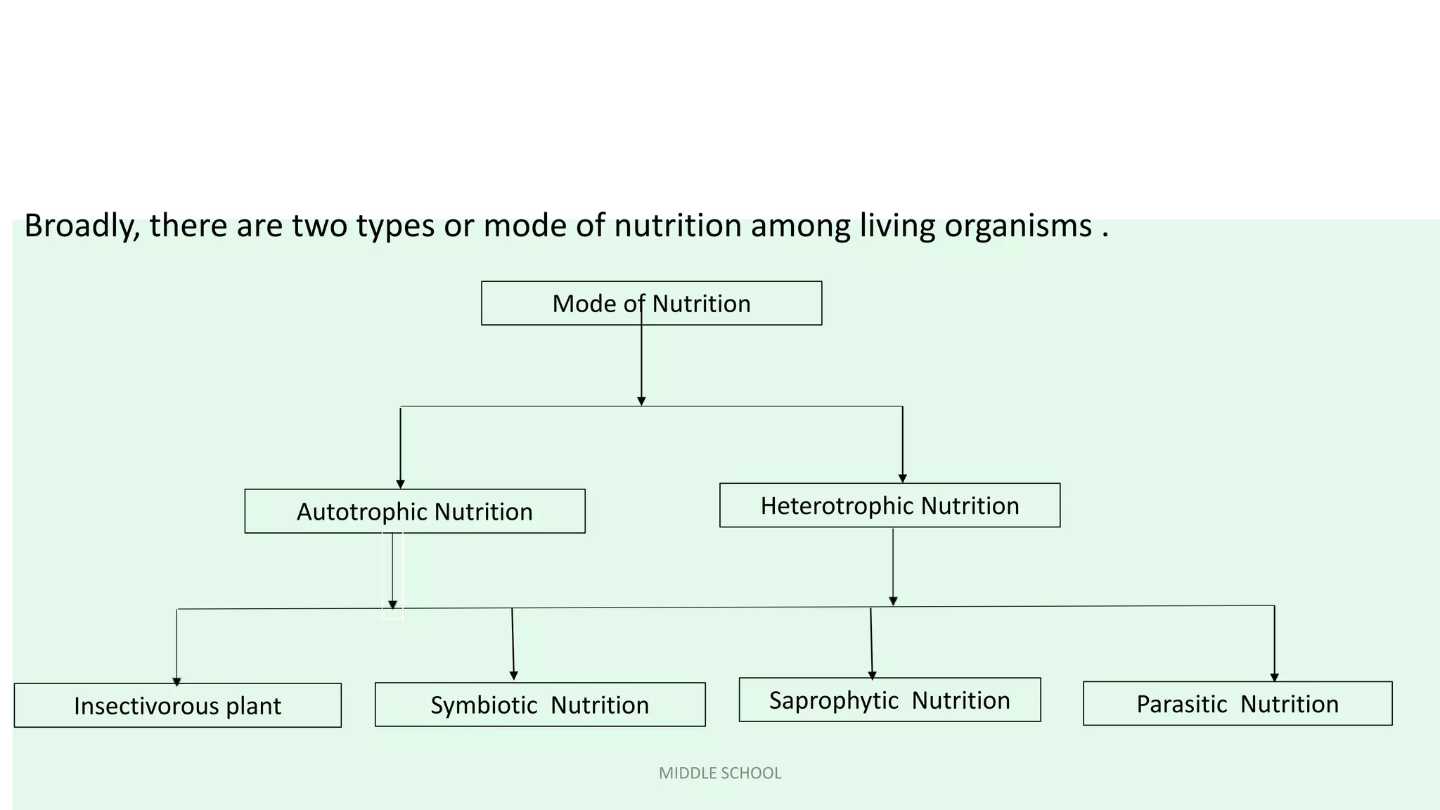 Nutrition in plants New (2).pptx