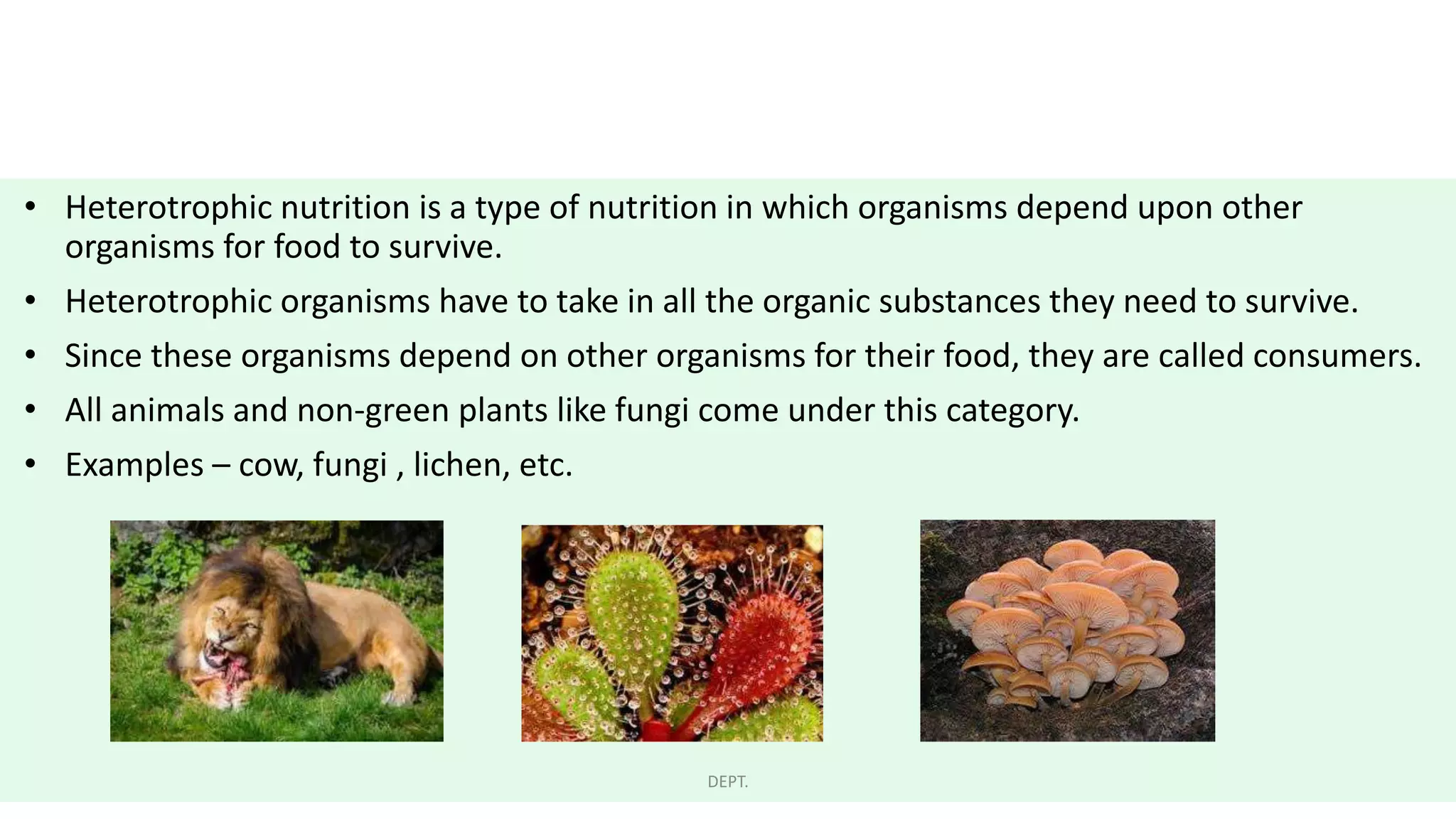 Nutrition in plants New (2).pptx