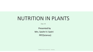 Nutrition in plants New (2).pptx