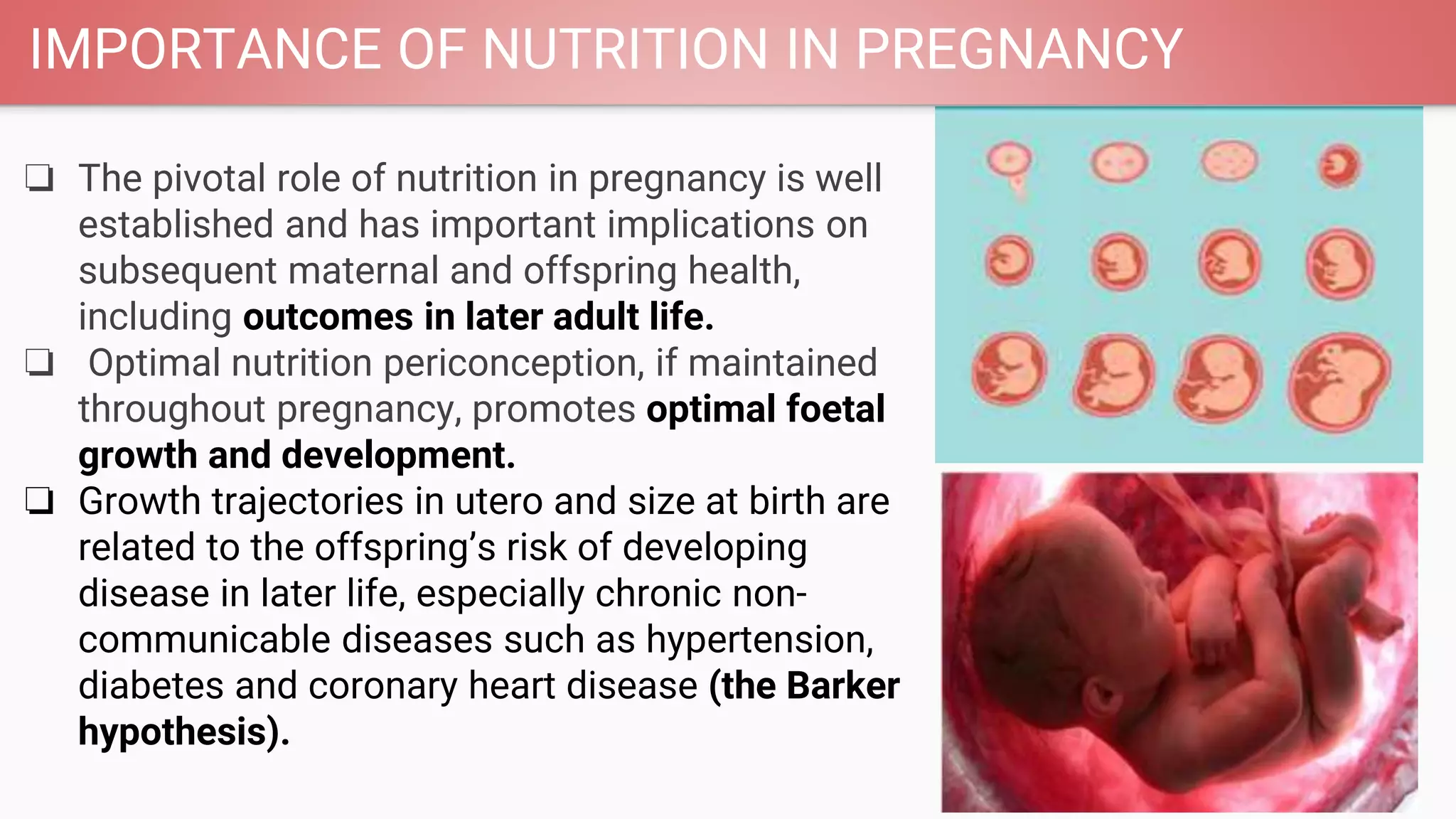 Nutrition in pregnancy | PPTX