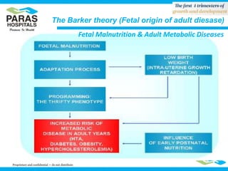 Nutrition in pregnancy | PPTX