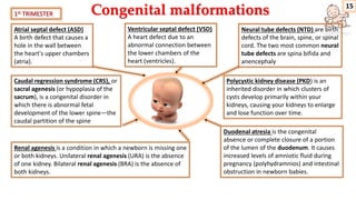 Nutrition in pregnancy and lactation | PPTX