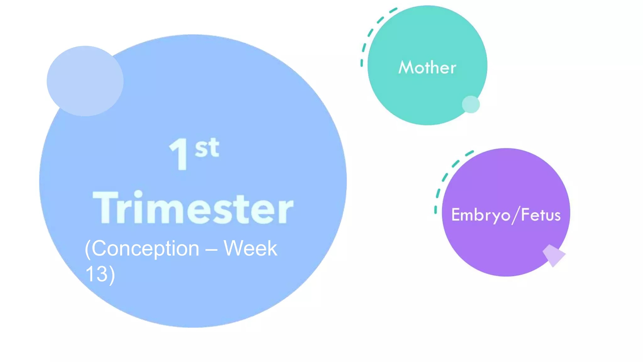 Nutrition and Diet Therapy - Nutrition During the Life Cycle | PPTX