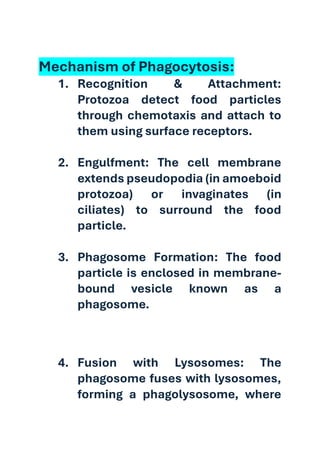 Nutrition in Protozoa-Phagocytosis and Pinocytosis.pdf